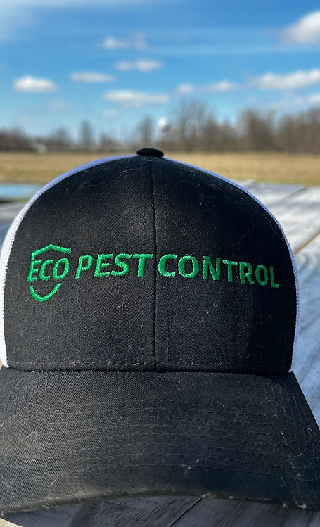 Eco Pest Control - Pest Control Central Ohio